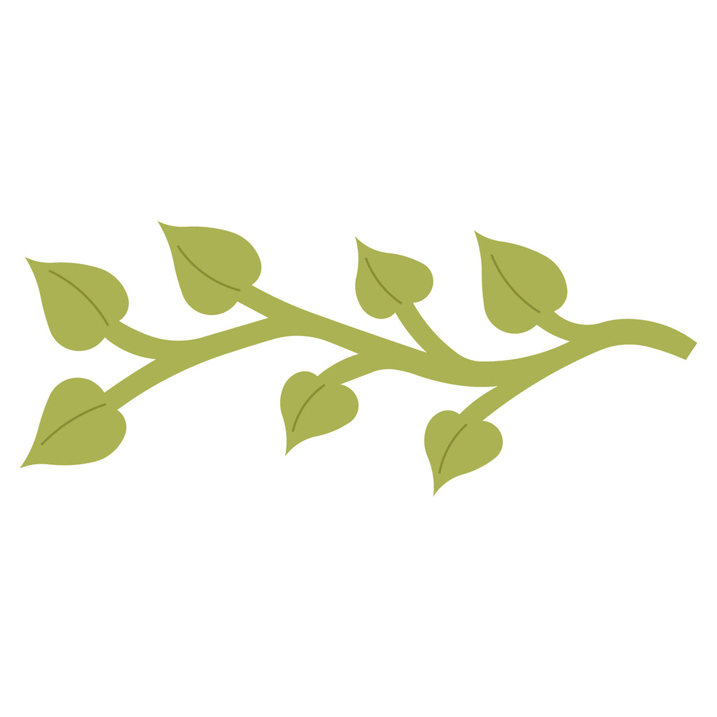 Border-Leafy #2 – AccuCut