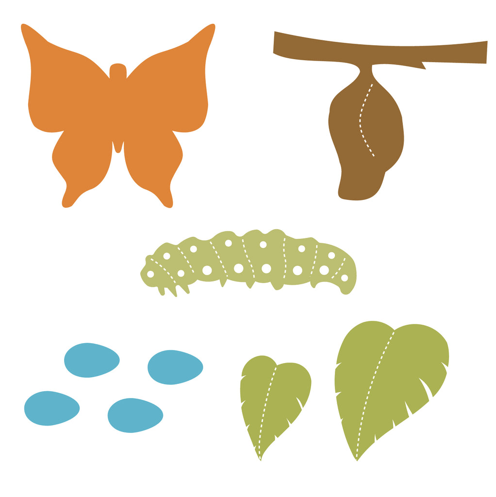 Butterfly Life Cycle Set – AccuCut