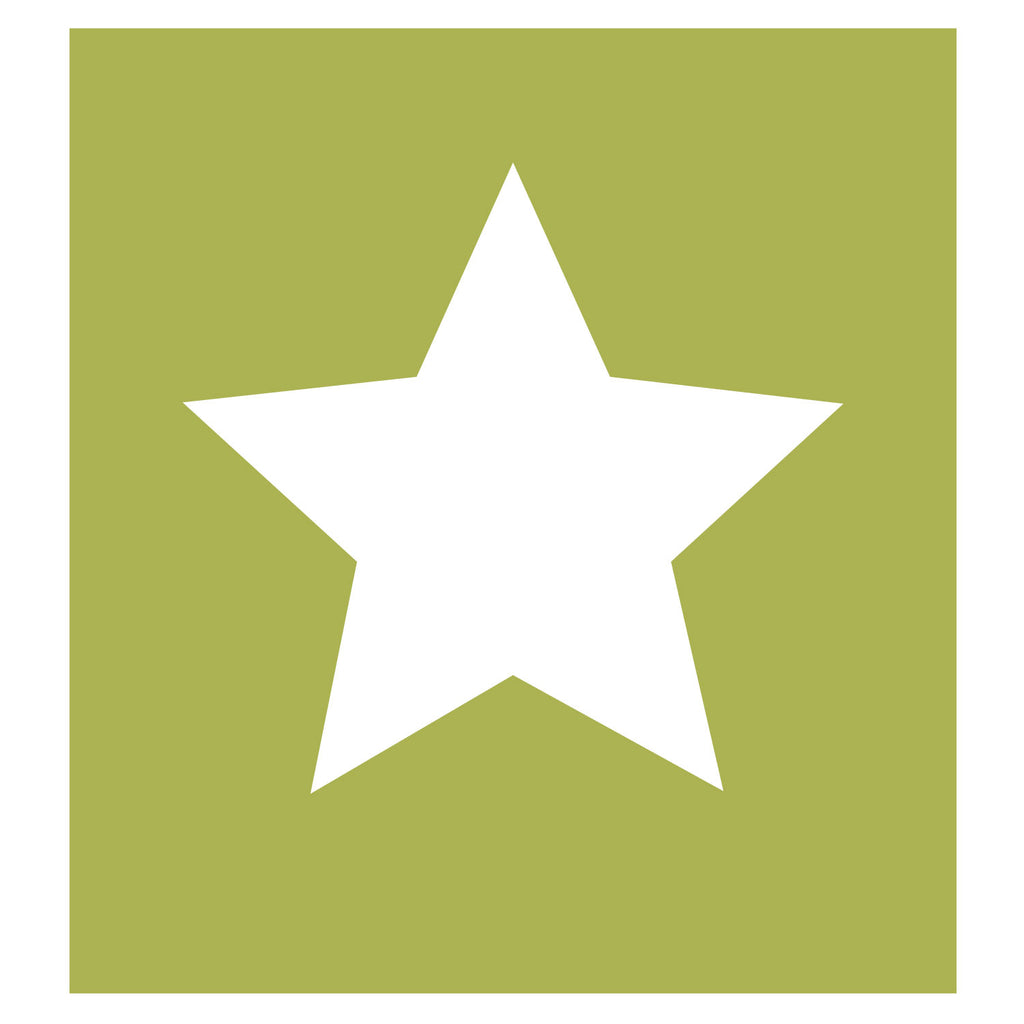 Rectangle w/Star – AccuCut