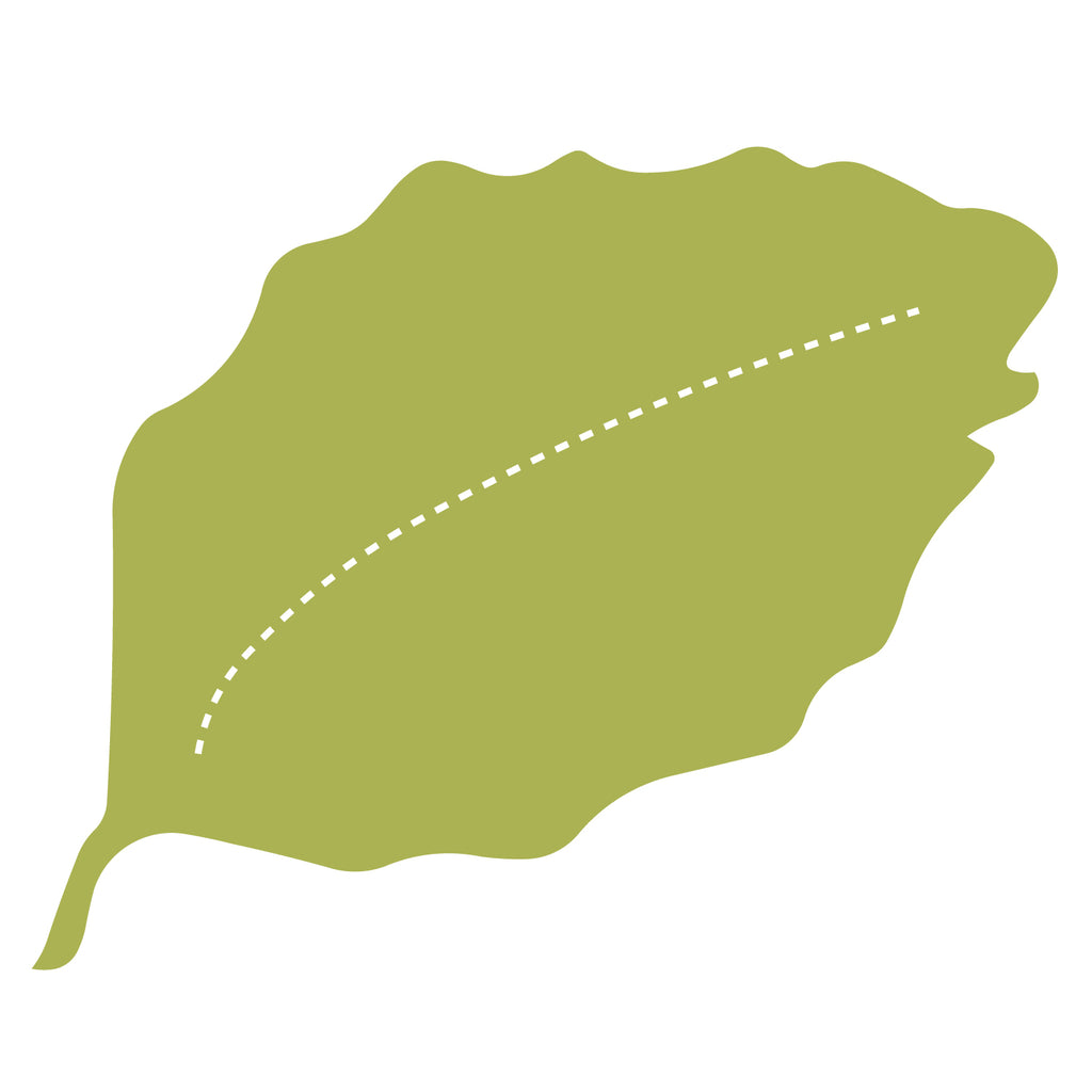 Leaf-Rounded – AccuCut